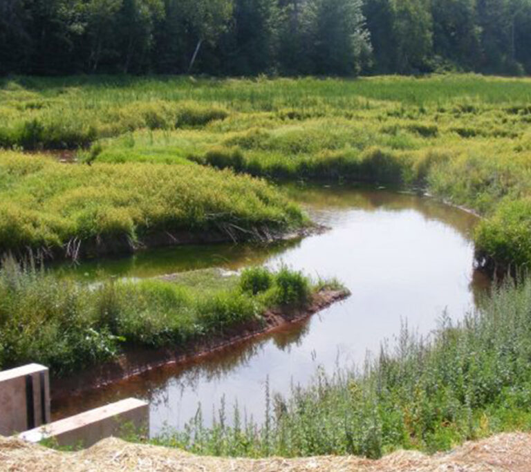 Groups - PEI Watershed Alliance